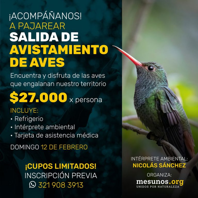 Avistamiento de aves por La Mesa • Mesunos.Org